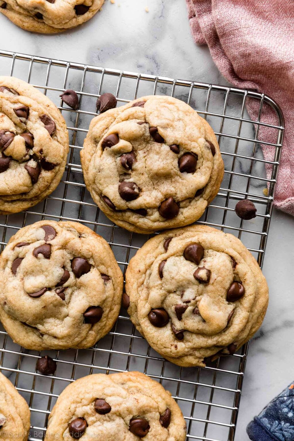 35 Picnic Food Ideas - The Kitchen Everything
