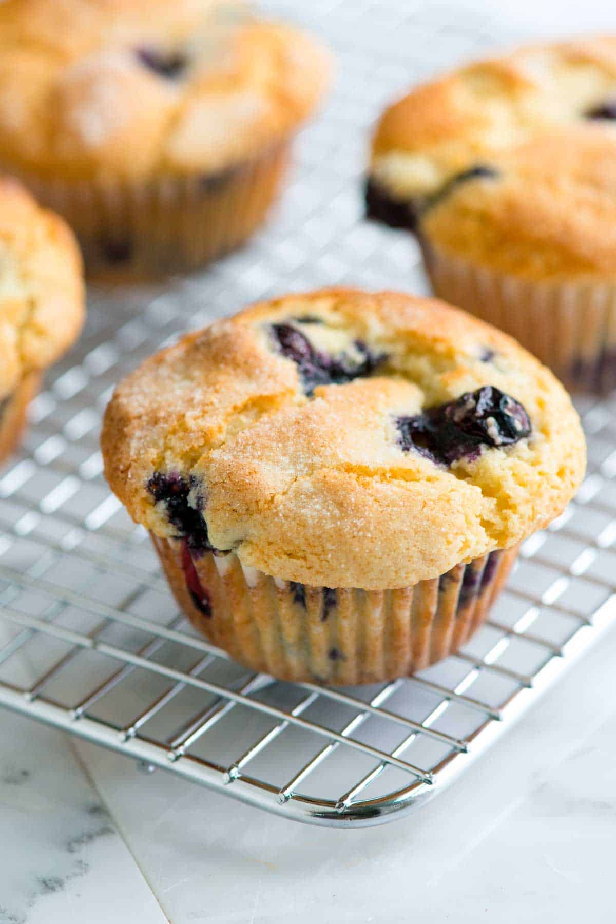 30+ Fun Things To Bake - The Kitchen Everything