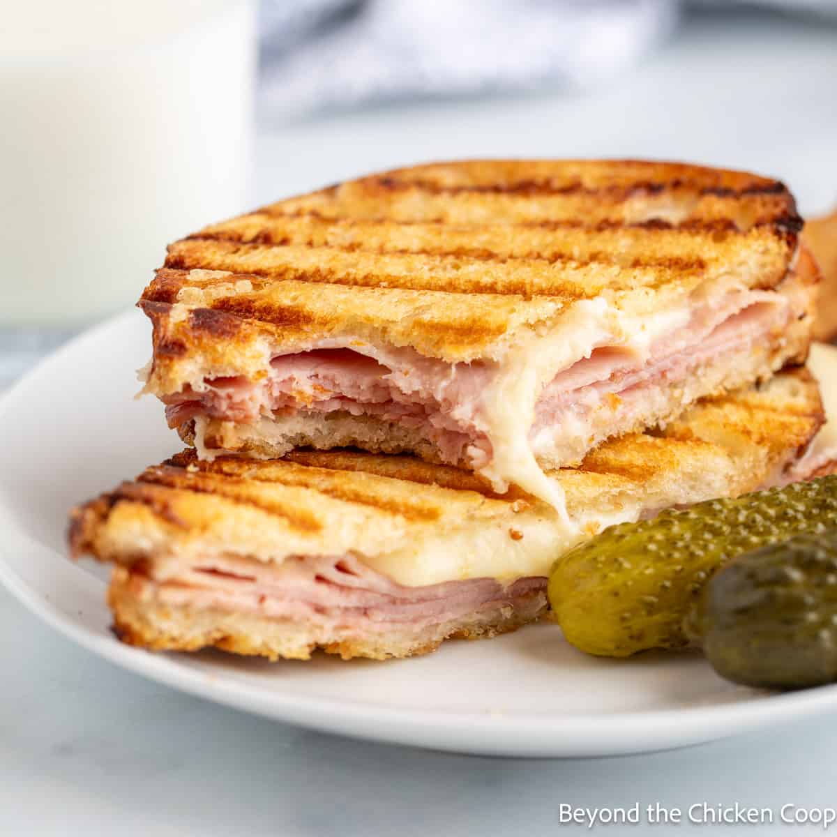 20+ Panini Recipes - The Kitchen Everything