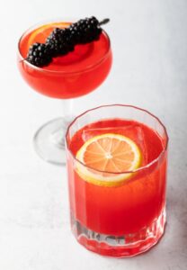 19+ Gin Cocktails - The Kitchen Everything