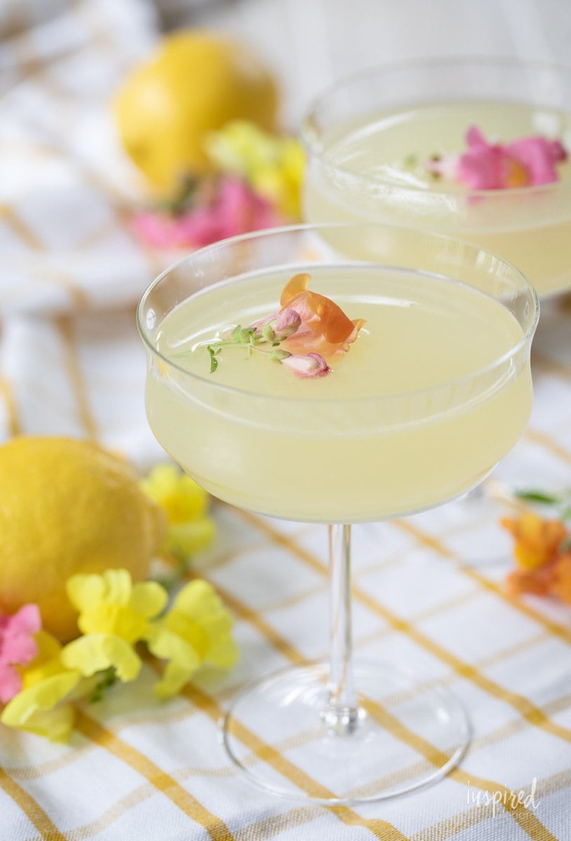 14+ Limoncello Cocktails - The Kitchen Everything