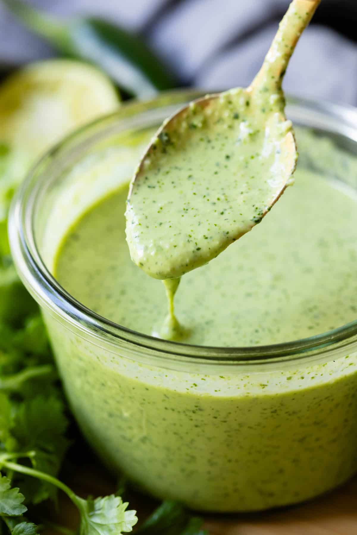 Our Best Sauces for Chicken - The Kitchen Everything